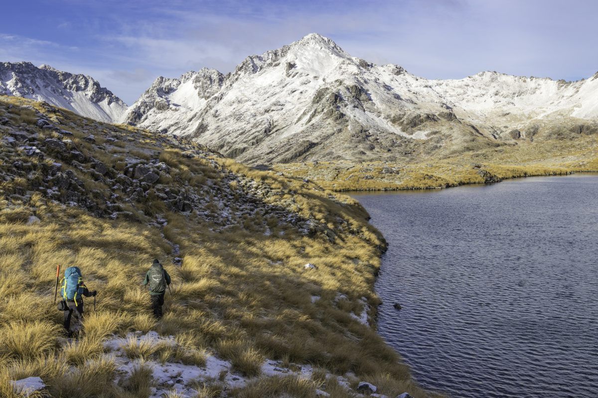 10 Best Things to Do in Nelson Lakes National Park