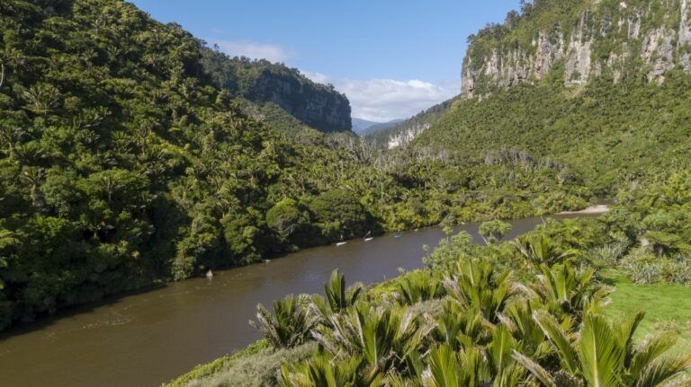 12 Best Things to Do in Paparoa National Park: Activities, Hikes & Tours