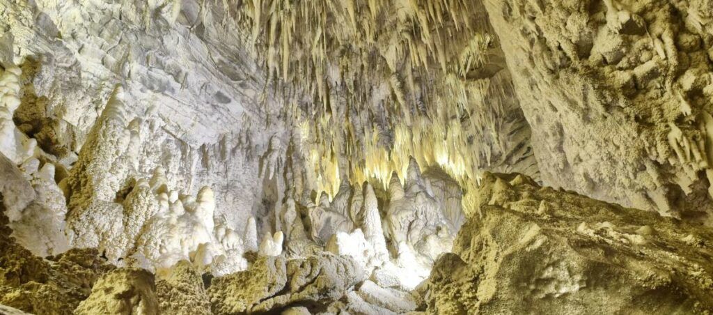 Waitomo Family Guide Destination Portal - NZ Pocket Guide