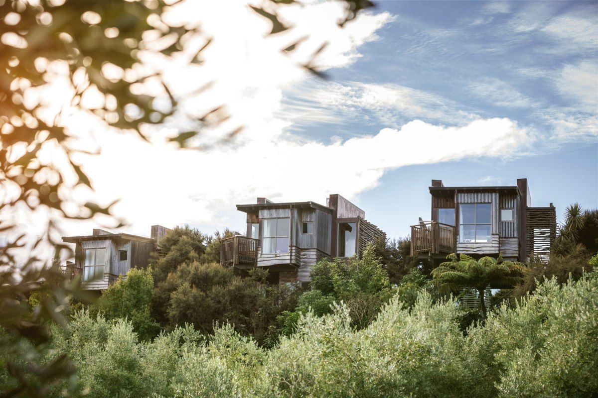 The Complete Travel Guide to Kaikoura 🗺️ [2025]