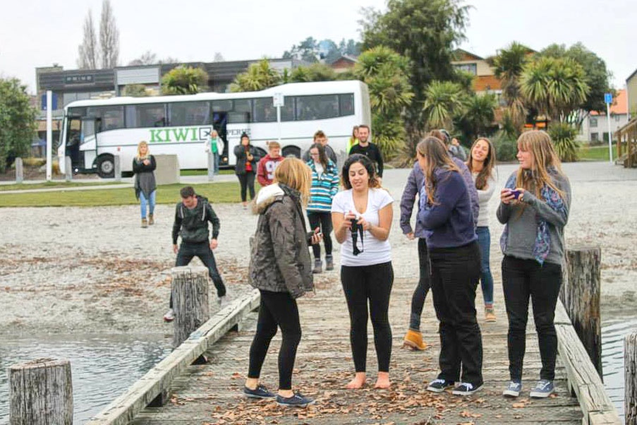 5 Different Bus Networks in New Zealand (Inc. Bus Companies) - NZ ...