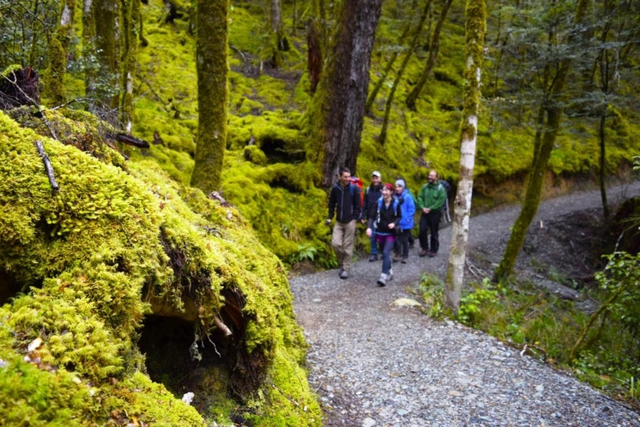 20 BEST Walks & Hikes in Rotorua - NZ Pocket Guide