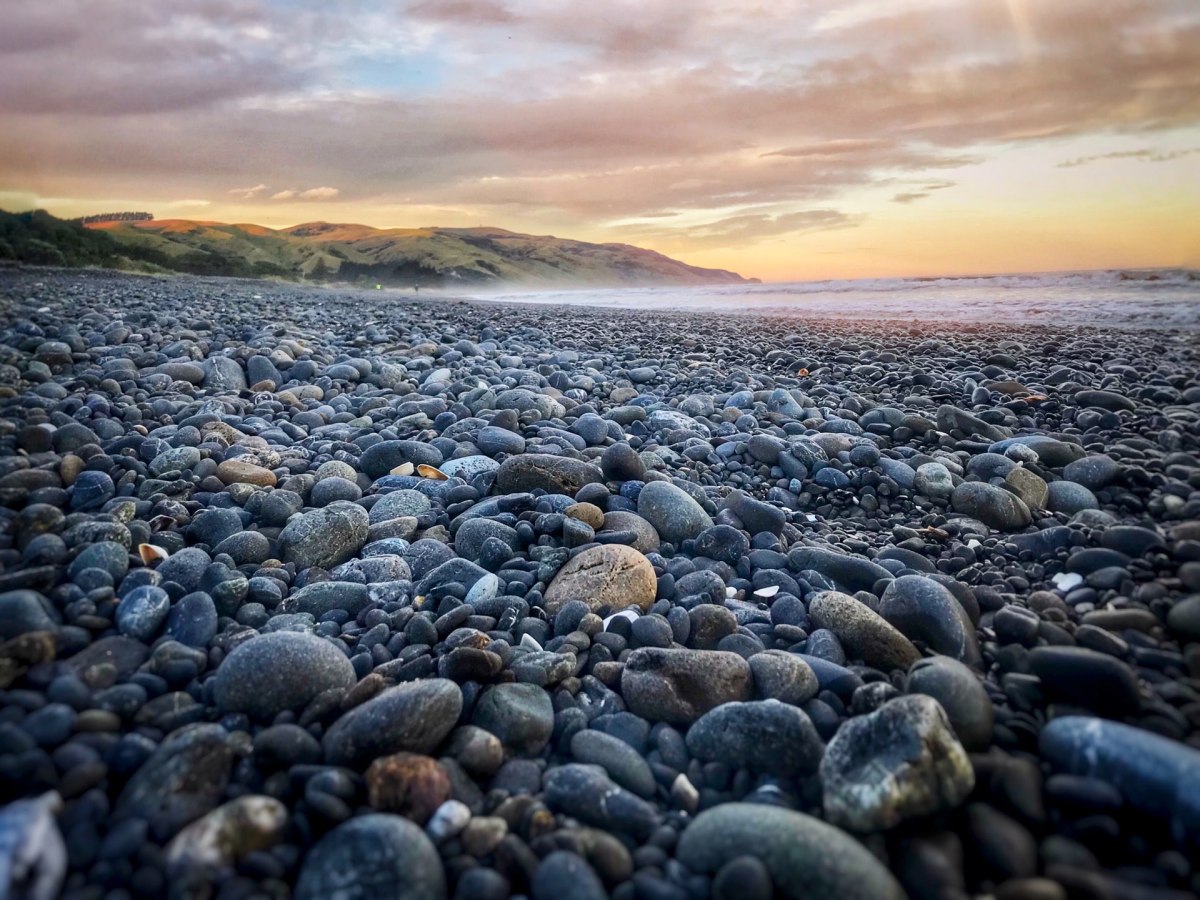 15 Best Things to Do in Timaru - NZ Pocket Guide